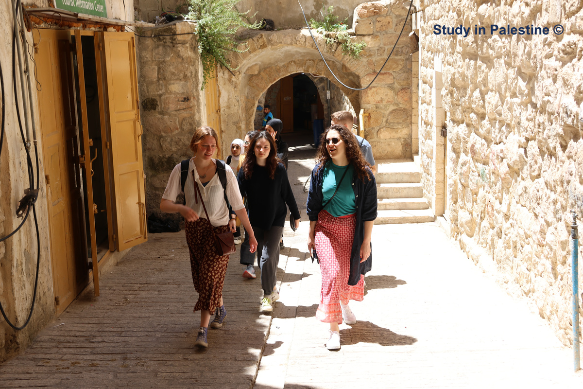Palestine and Israel Internship - (1-13 Weeks)